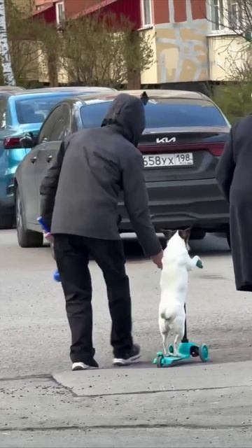 А ребёнка бросили...