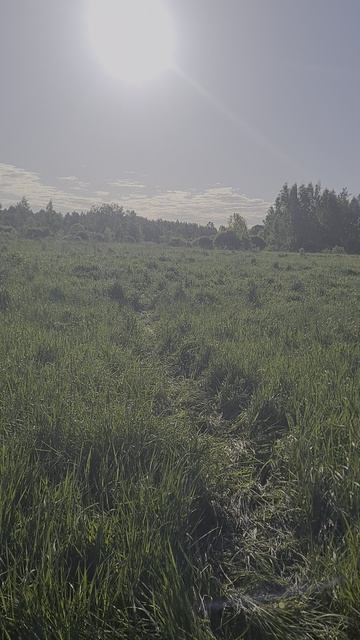 Краткий репортаж с поисковых полей.