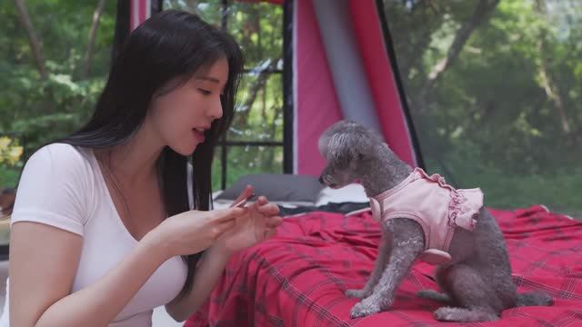 $7,777 CAMPING WITH THE LUXURY AIR TENTㅣFOREST ASMR