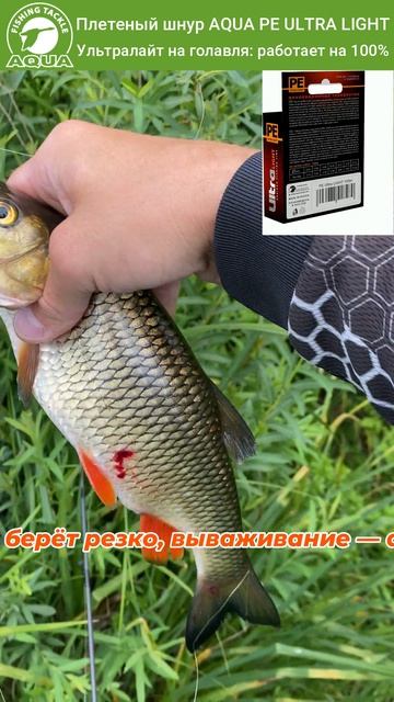🎣🐟 Рыбалка на голавля на спиннинг | Рабочая вертушка AQUA