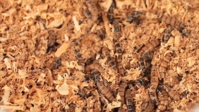 100 Слоев Еды Челлендж # Потрясающие Кухонные Лайфхаки ч. 9