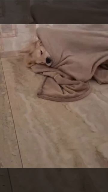 Единственное желание утром