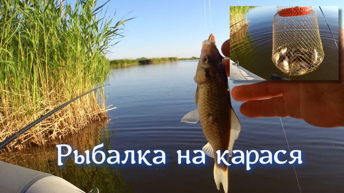 Рыбалка на карася. Ловим на поплавочную снасть