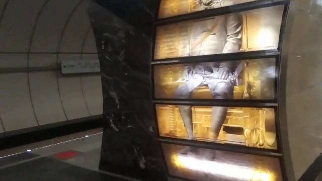 Станция метро Фонвизинская - интерьер, поезда, пассажиры Москва, Светло-зелёная Линия Фрагмент 14