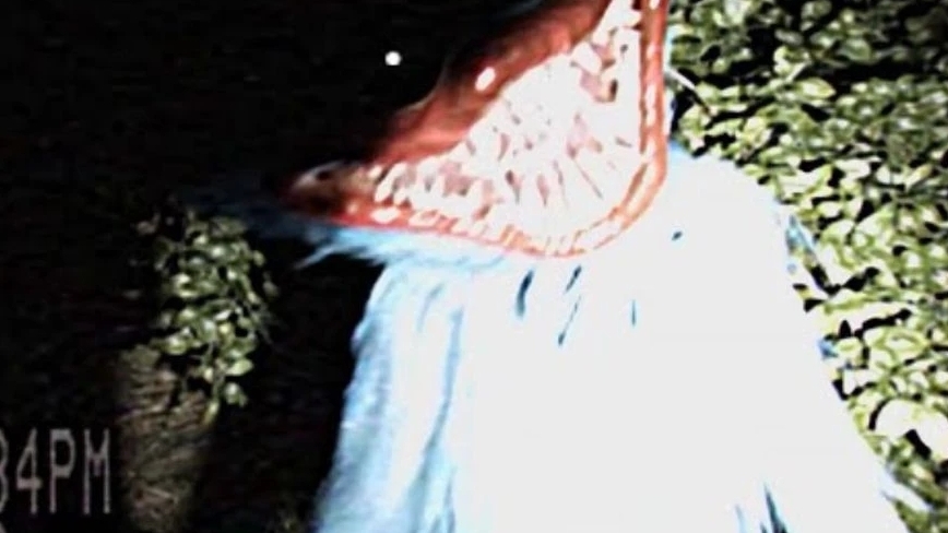 RESTRICTED_disappearance_06-18-1992.mp4