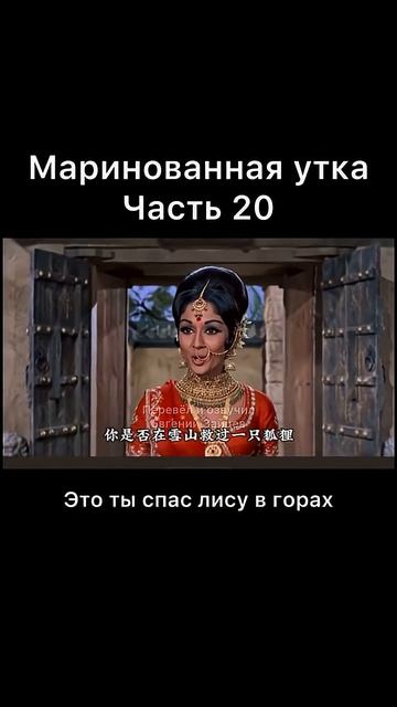 Маринованная утка часть 20