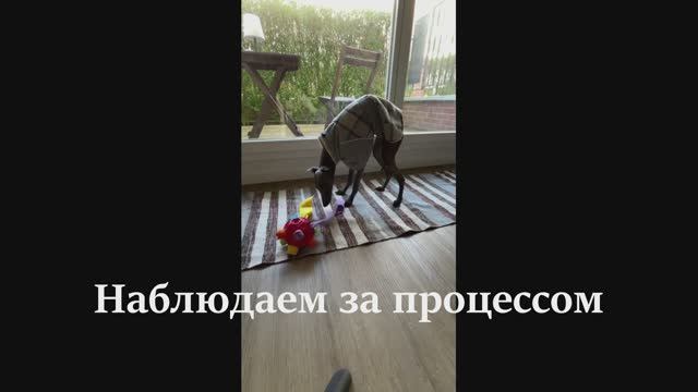 ЛЕВРЕТКА ДЕТЕКТИВ.