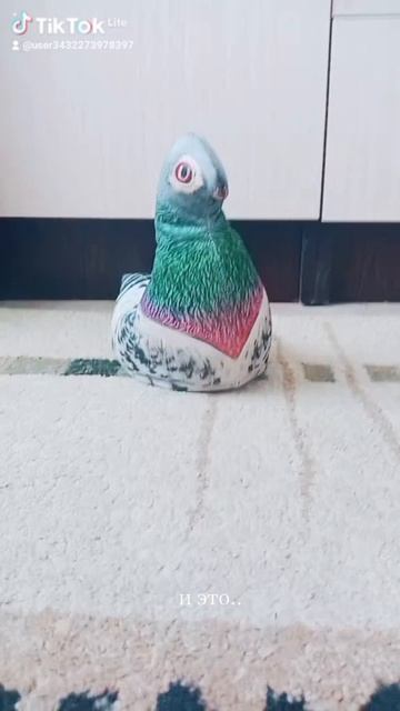 Гуленок