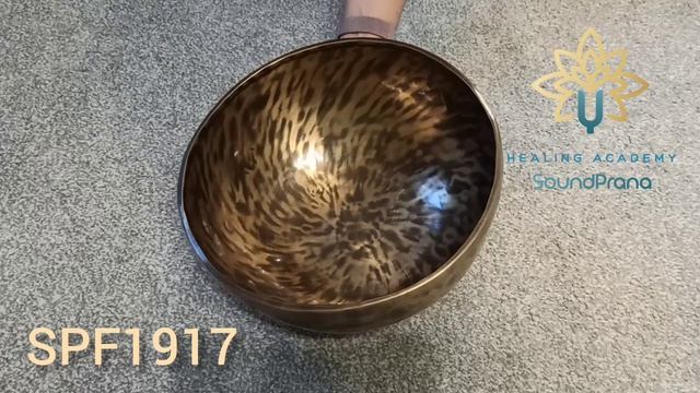 SPF1917 Тибетская поющая чаша ручной работы