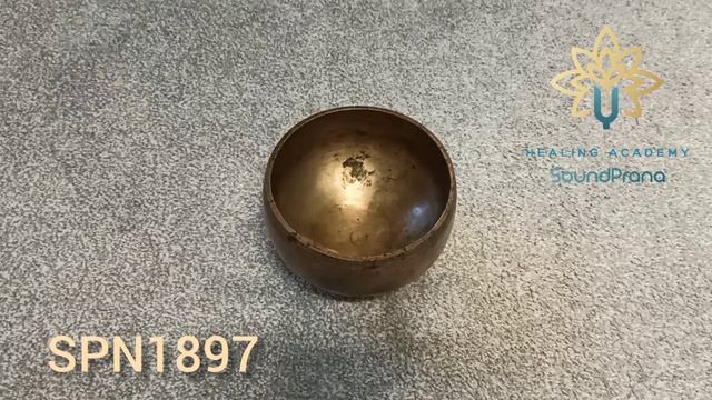 SPN1897 Тибетская поющая чаша ручной работы
