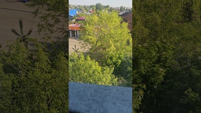 1000015575.mp4