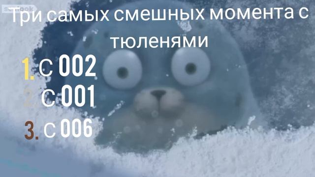 Три смешных момента с тюленьками. Мультик нас покорил🥰
