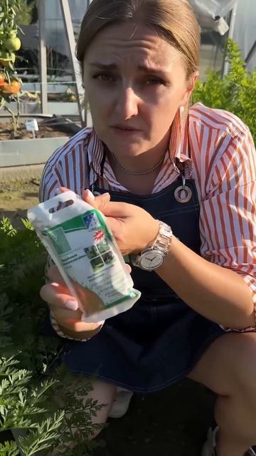 Чтобы морковь хорошо хранилась.