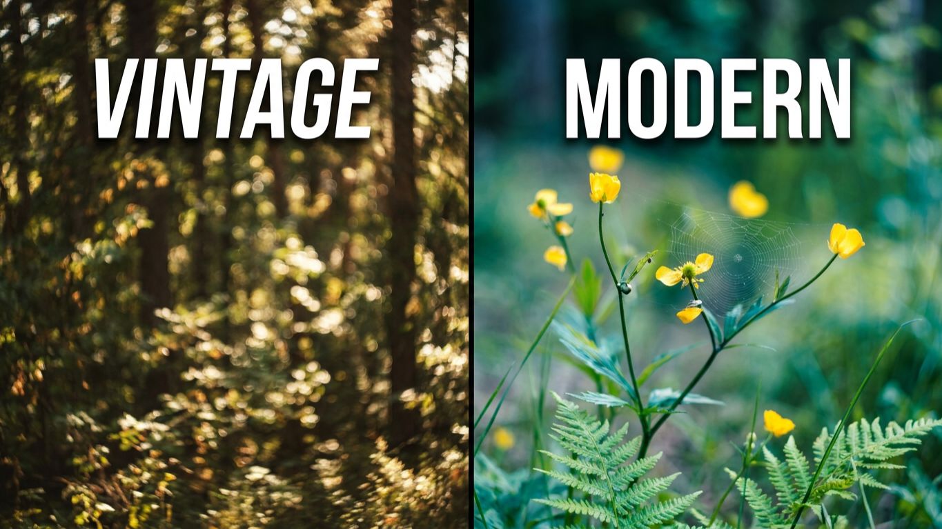 HELIOS 44 2 vs Sony ZV E10 MII | Forest Cinematic Test
