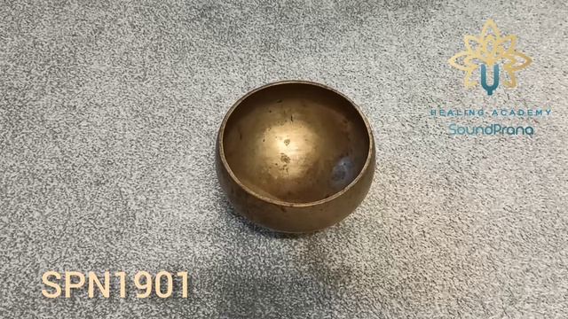 SPN1901 Тибетская поющая чаша ручной работы