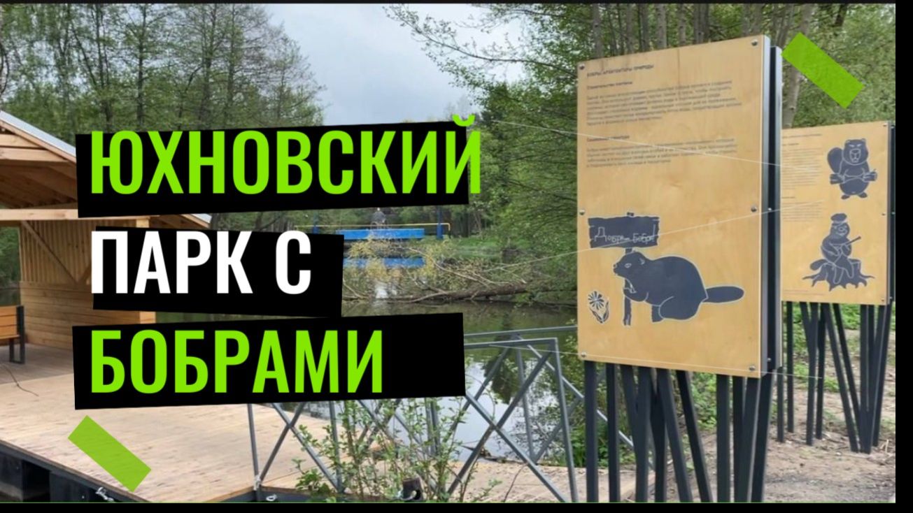 Прогулка по Юхновскому парку где водятся БОБРЫ