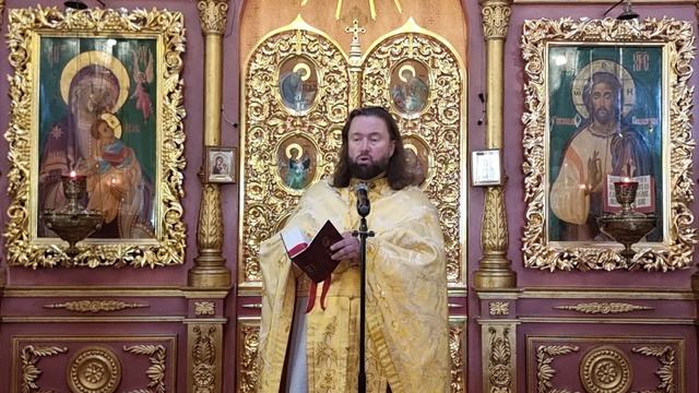 Проповедь протоиерея Александра Якушечкина в Седмицу 1-ю по Пятидесятнице (07.06.2026)