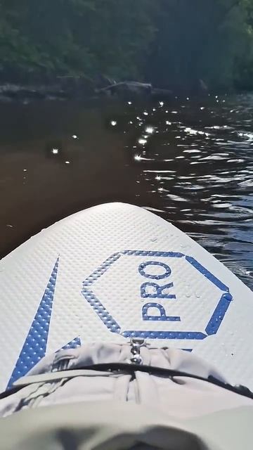 Волга — не просто вода, а состояние души 🎶 #automobile #lake #boating #kayaking #fishing