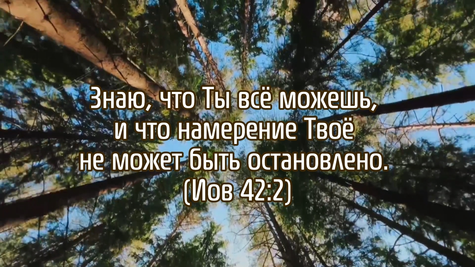 Вера. Надежда. Любовь