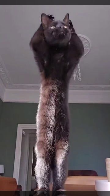 Я сексуальна и знаю это