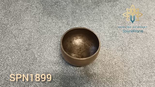SPN1899 Тибетская поющая чаша ручной работы