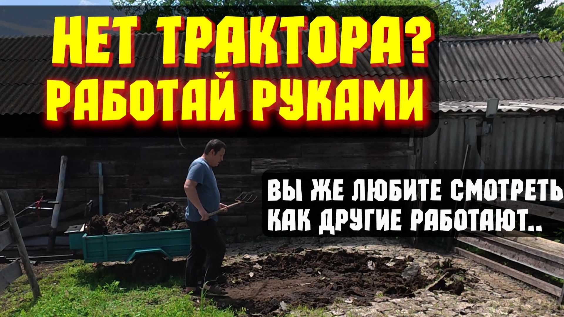 Деревенские будни: чистим загон, приучаем телят к электропастуху