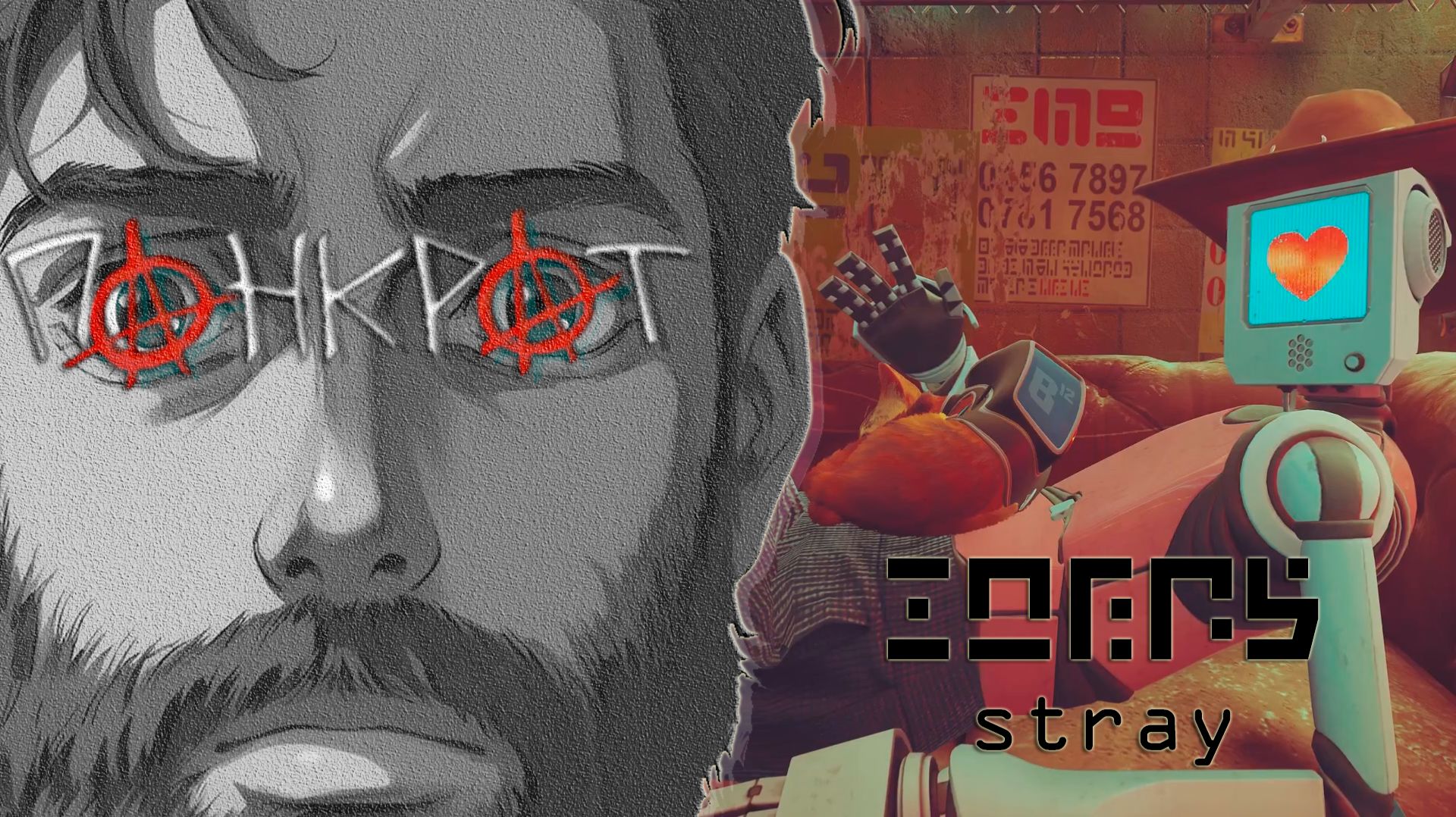 STRAY - 5
