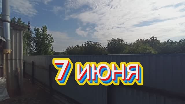 Даже "Болтик" занят сельскими заботами: сушит сено