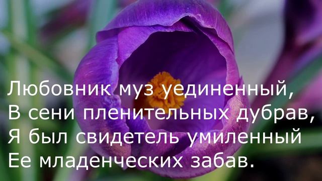 Про любовь