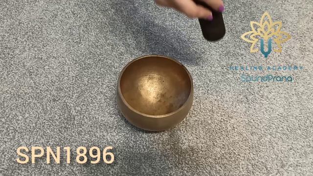 SPN1896 Тибетская поющая чаша ручной работы