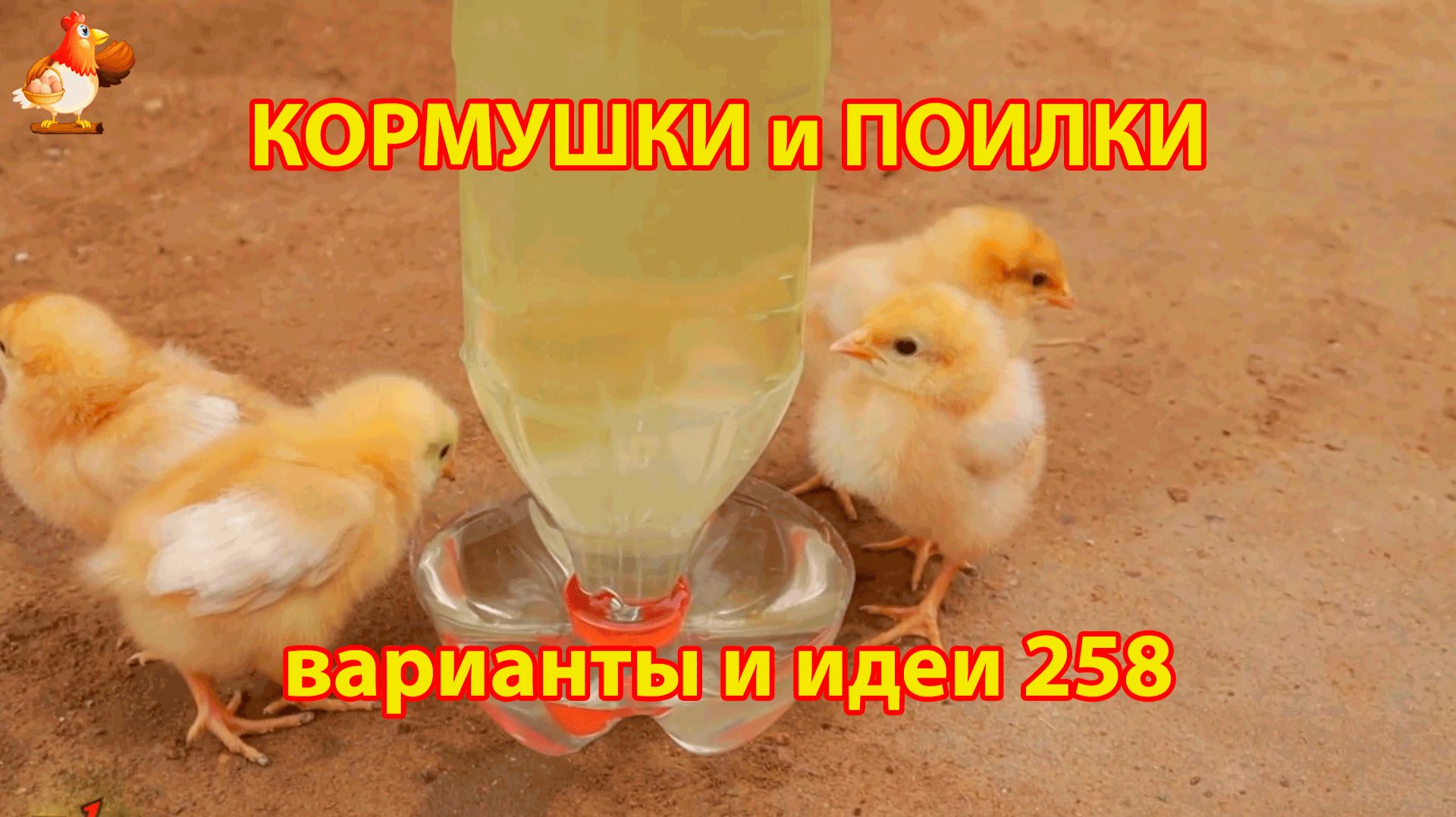 Кормушки и поилки для кур своими руками 258 🪚✂️ Пошаговая инструкция как сделать 🐔 🐓❣️
