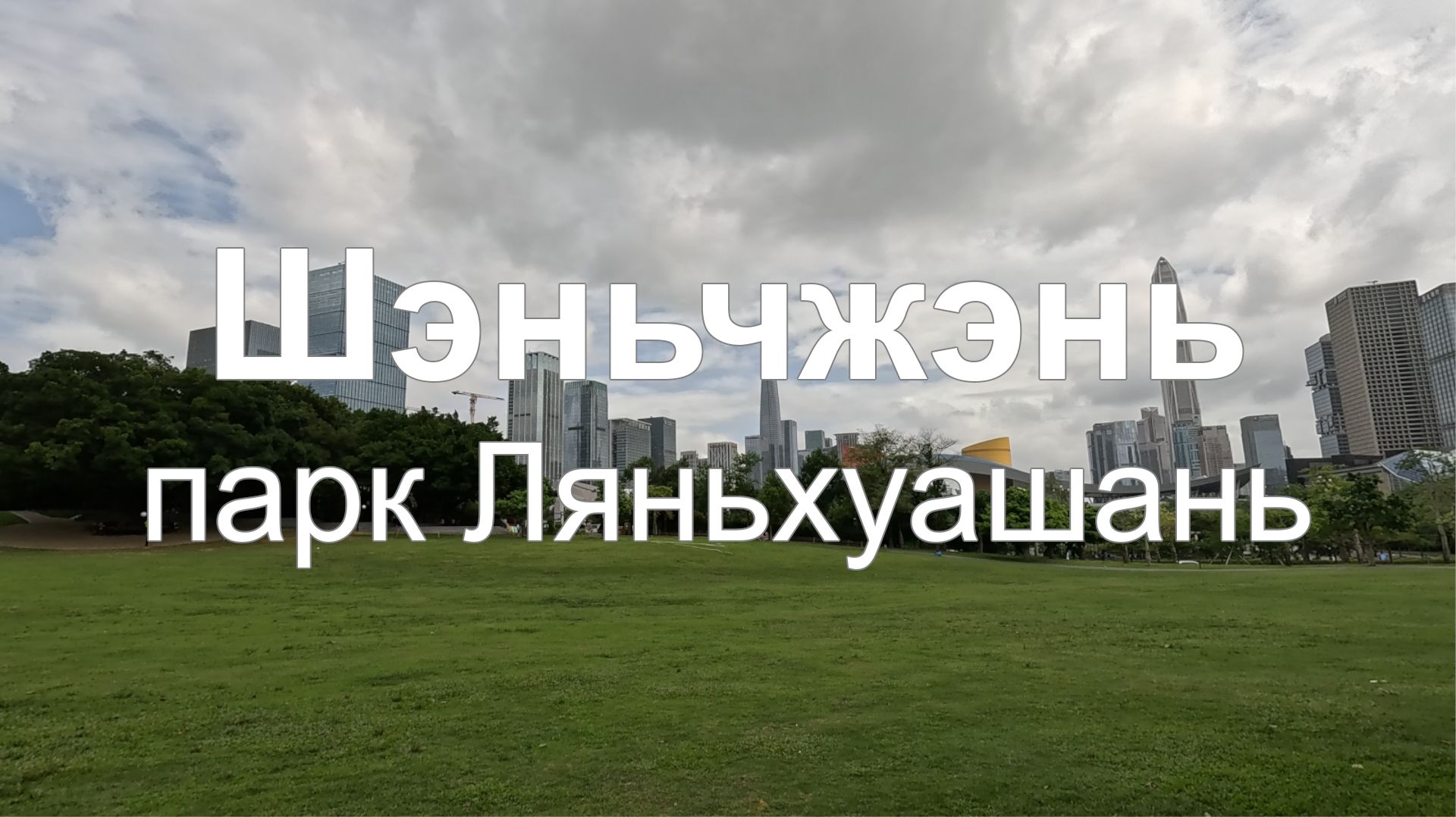 Центральный парк Шэньчжэня: гармония природы в городе | Китай