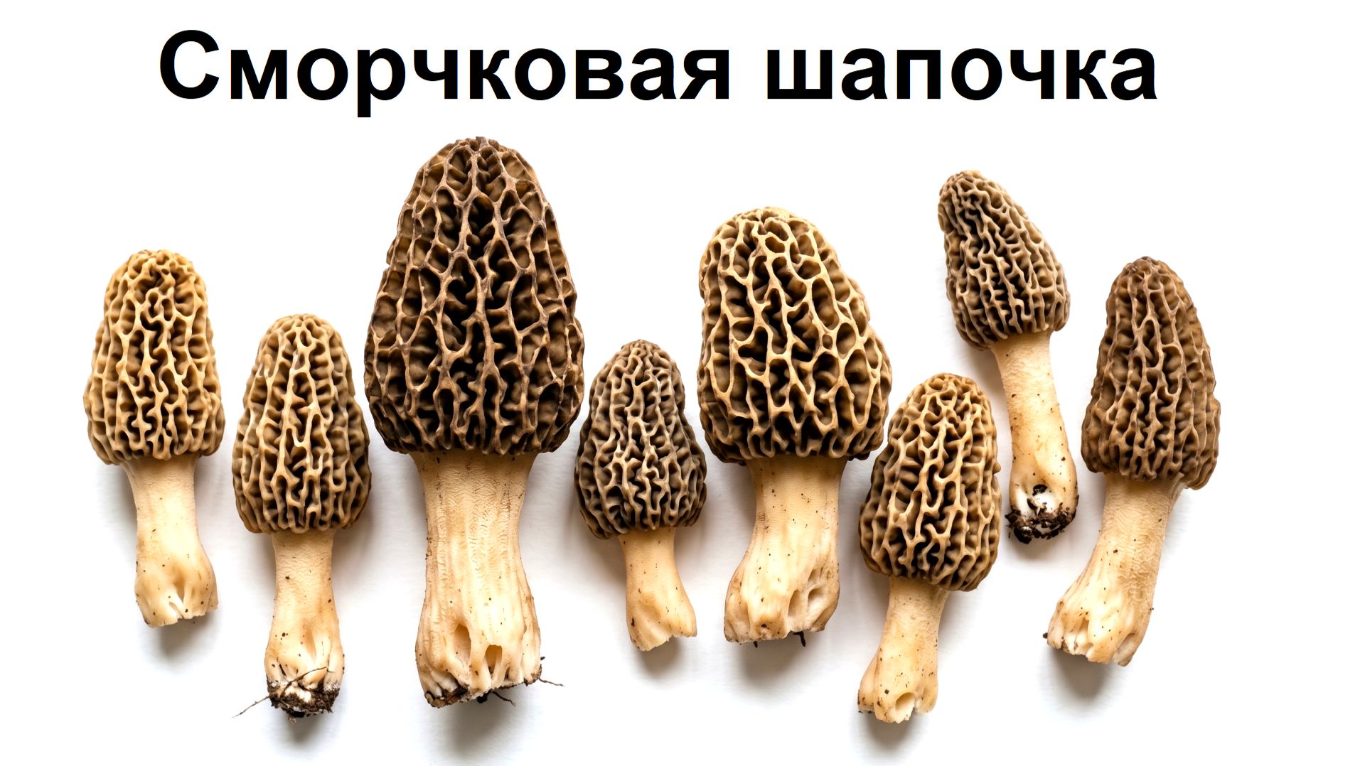 Прочее