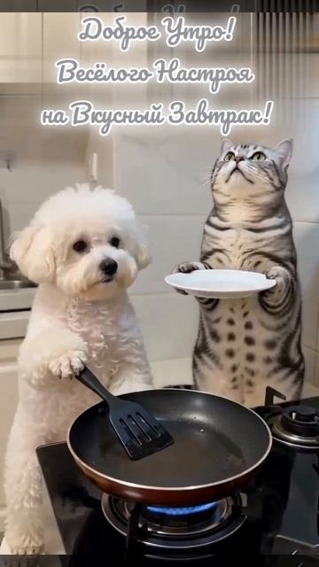 Как мы тестируем систему обратной связи 😼