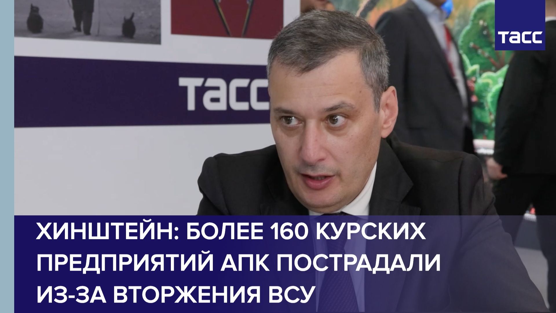 Хинштейн: более 160 курских предприятий АПК пострадали из-за вторжения ВСУ