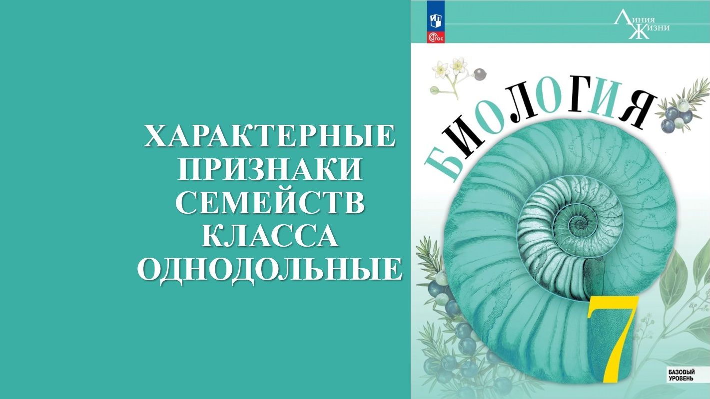 Урок 18. Характерные признаки семейств класса однодольные