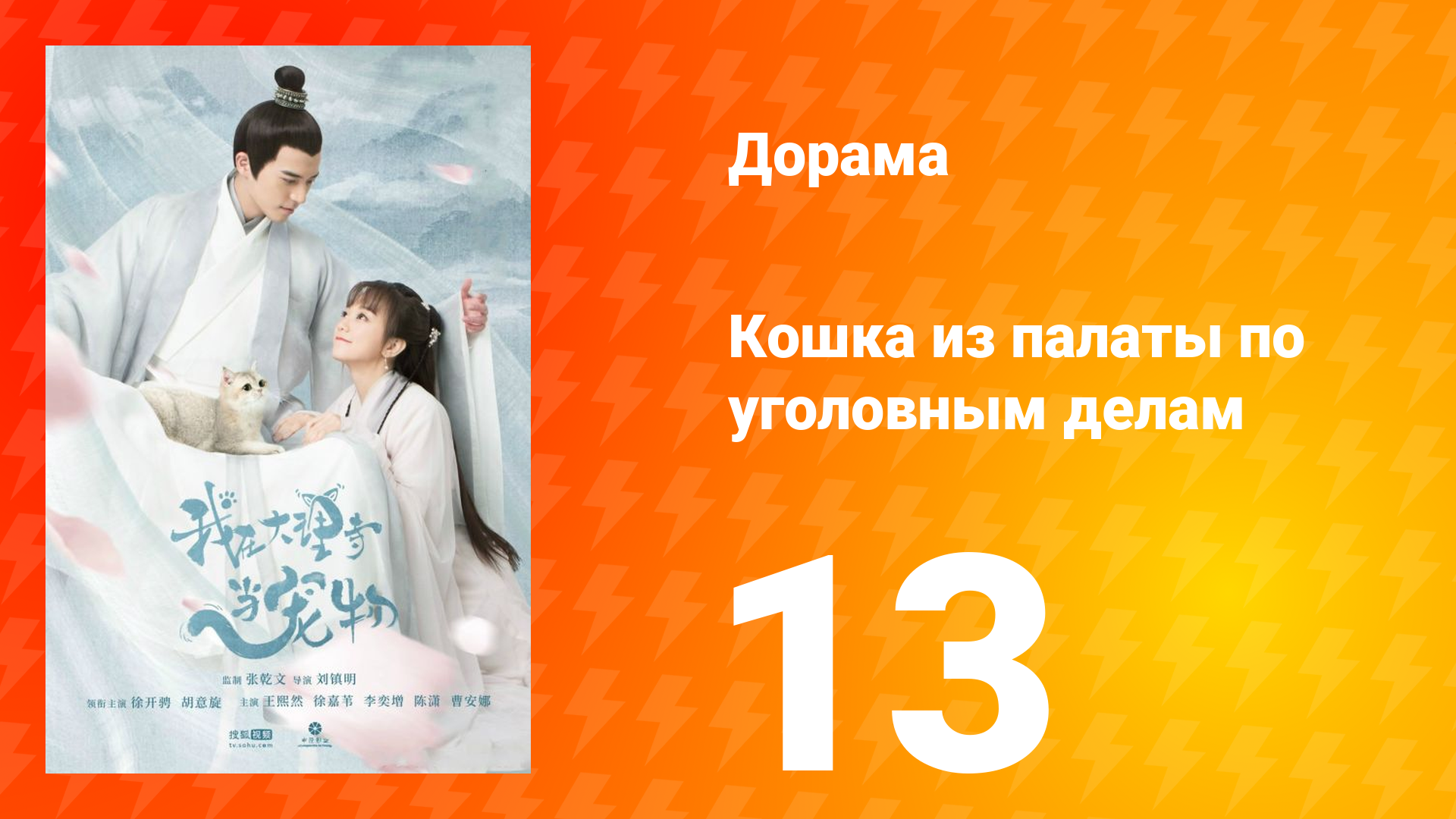 Кошка из палаты по уголовным делам 1 сезон 13 серия