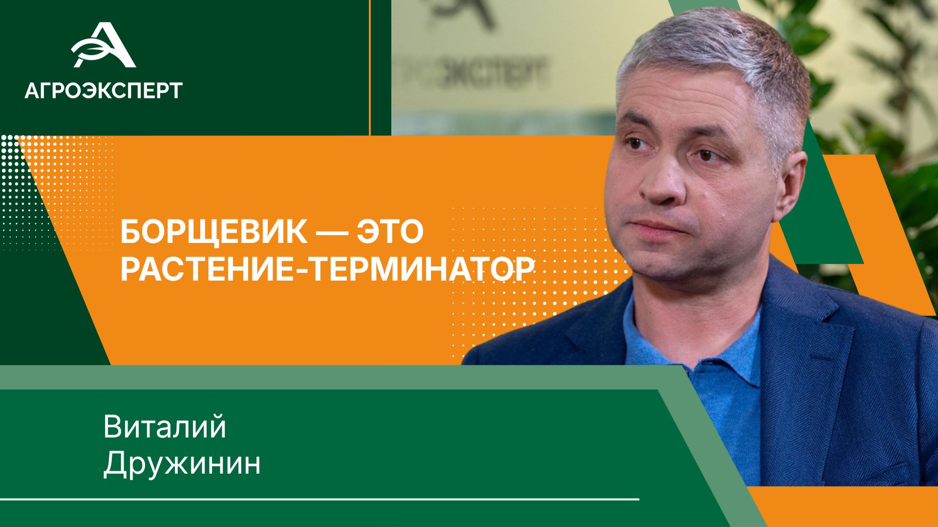 «Врага нужно убивать в зародыше» — эксперт о принципах борьбы с борщевиком
