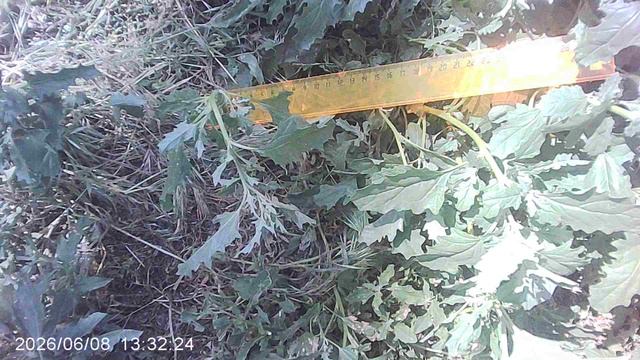 В свете Солнечного света фонарь Кобра отбрасывает тень. Земля - вращается, тень - движется.