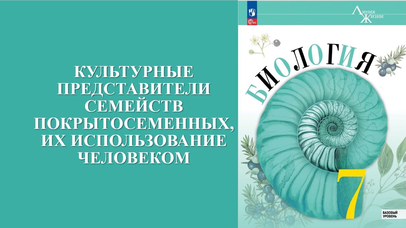 Урок 19. Культурные представители семейств покрытосеменных, их использование человеком