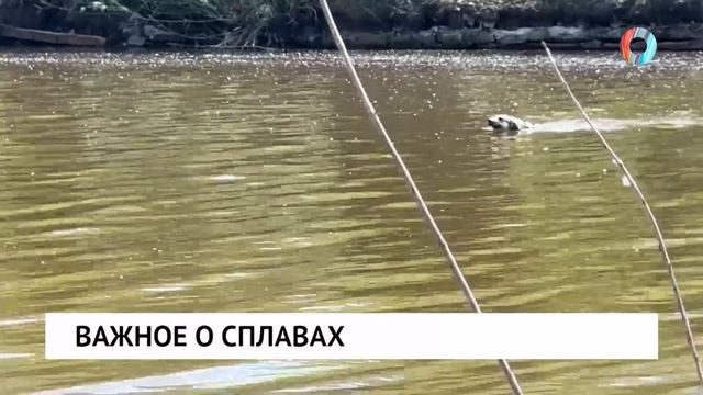 Новости от 05.06.2026