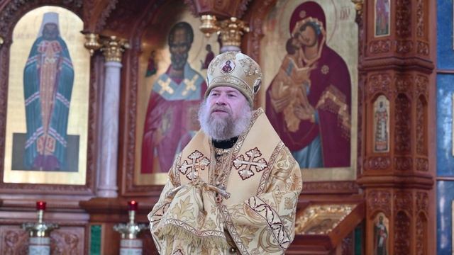Проповедь митрополита Воронежского и Лискинского Леонтия. Воронеж, 7 июня 2026 года.