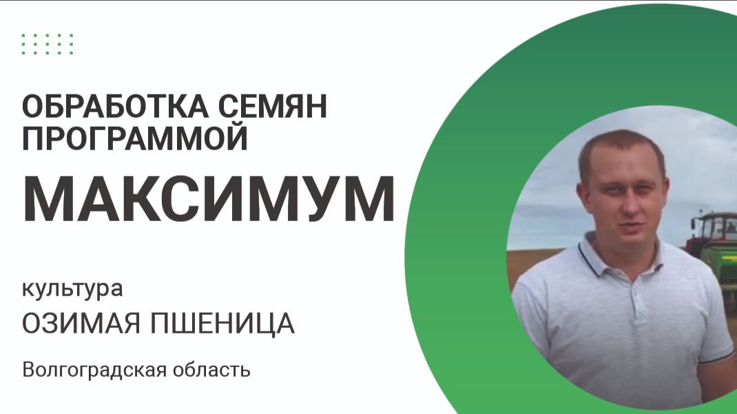Обработка семян программой «МАКСИМУМ» , озимая пшеница