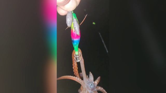 Работала кальмарница Candy Fish (NEW) от Mr.Musurok 🔥