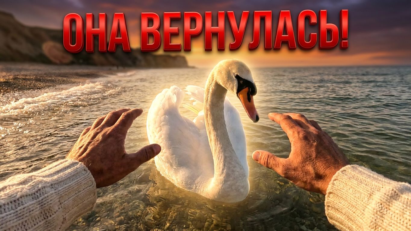 НЕВЕРОЯТНАЯ ВСТРЕЧА на море  в Евпатории ☝️
