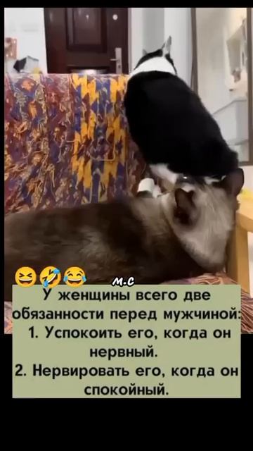 Женская обязанность