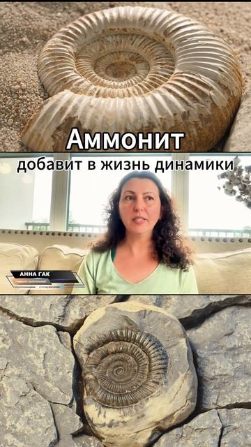Аммонит - камень динамики!