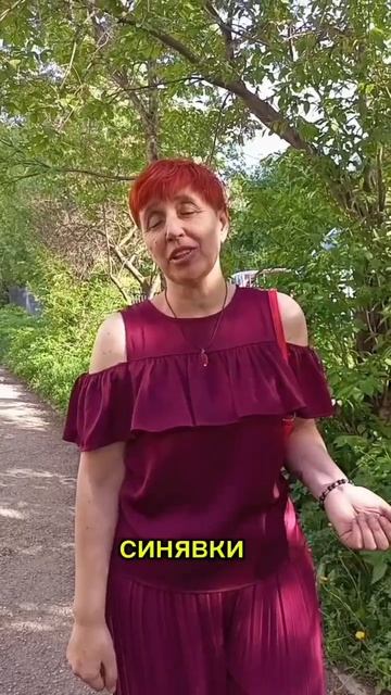 С миру по слову