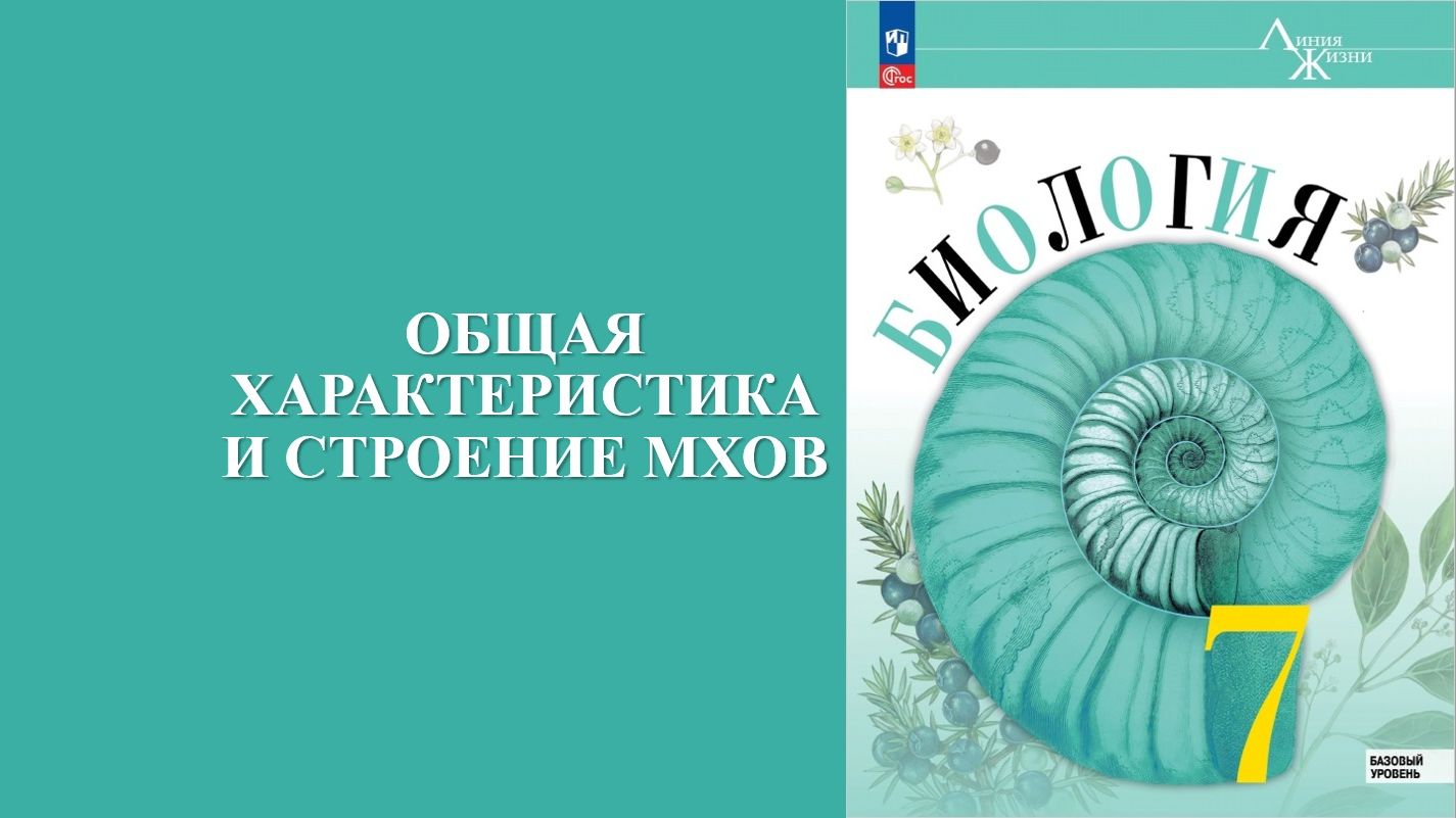Урок 7. Общая характеристика и строение мхов