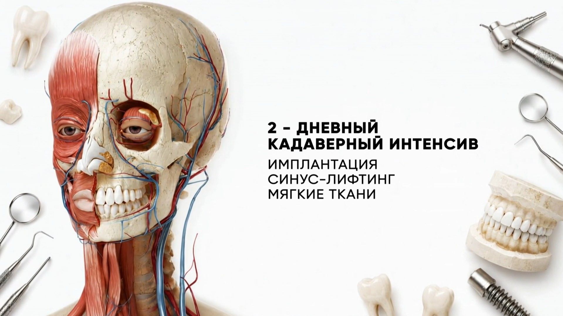 КАДАВЕРНЫЙ КУРС DENTIS
